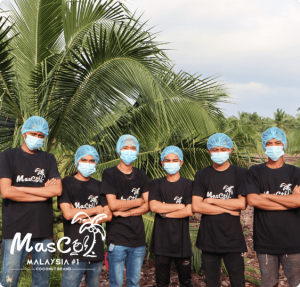 About Us | Coconut Masco