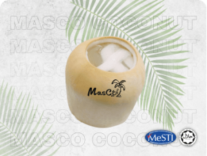 Malaysia’s #1 Coconut Supplier | Coconut Masco