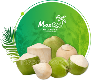 About Us | Coconut Masco